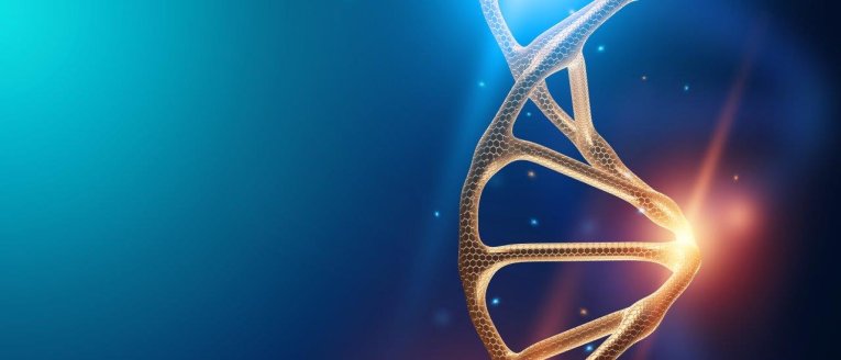 Product DNA - InMediasP GmbH | Softwareentwicklung, PLM-Systeme ...